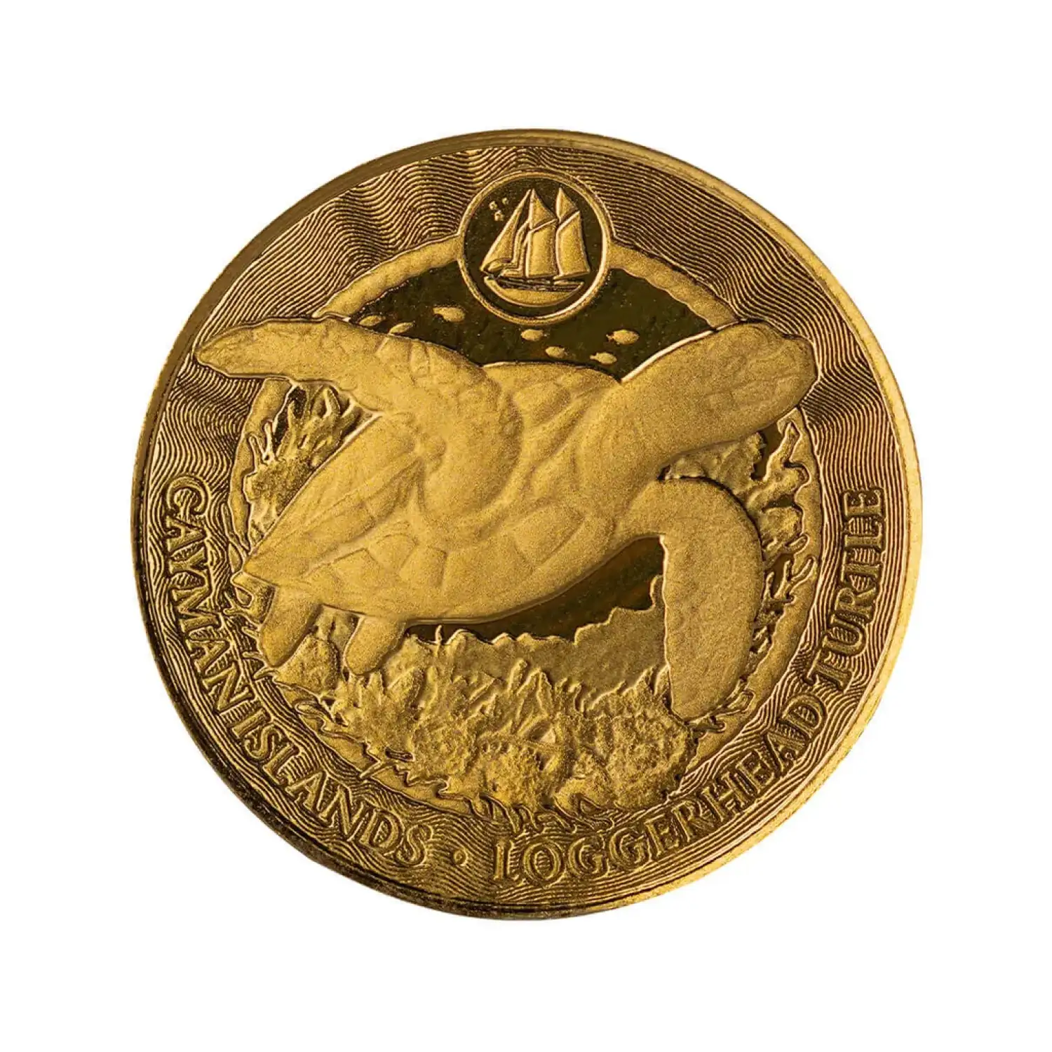 2025 1/10 oz Loggerhead Turtle - Cayman Islands Gold Coin - Stackers ...