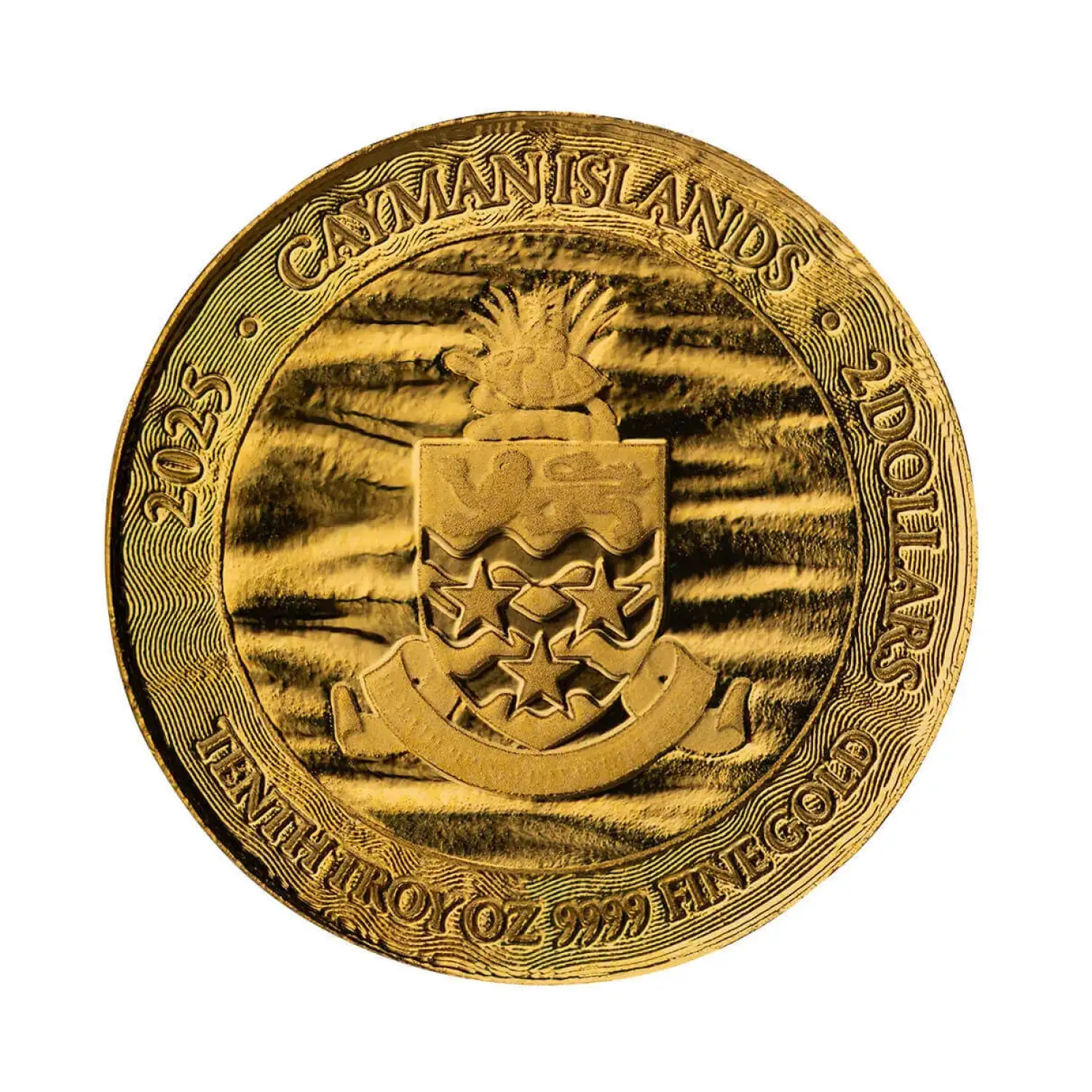 2025 1/10 oz Loggerhead Turtle - Cayman Islands Gold Coin - Stackers ...